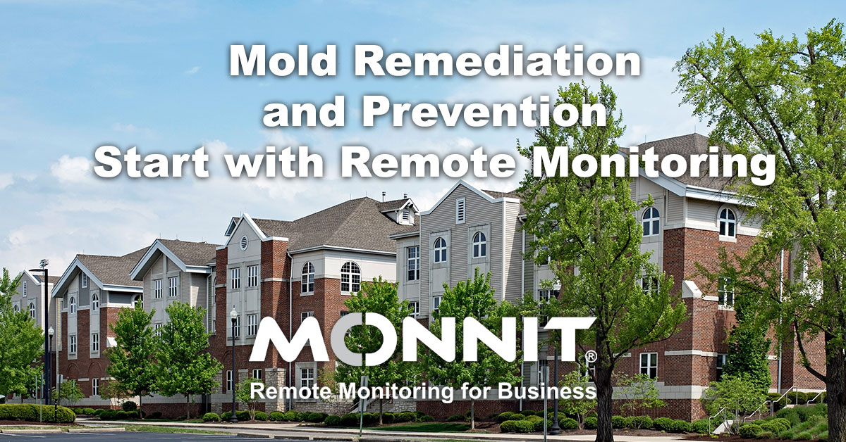Mold Prevention and Remediation with IoT Sensors